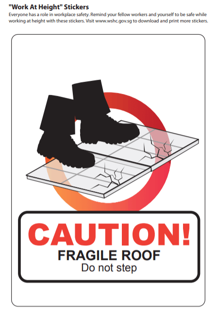 Fragile Roof (Work at Heights)
