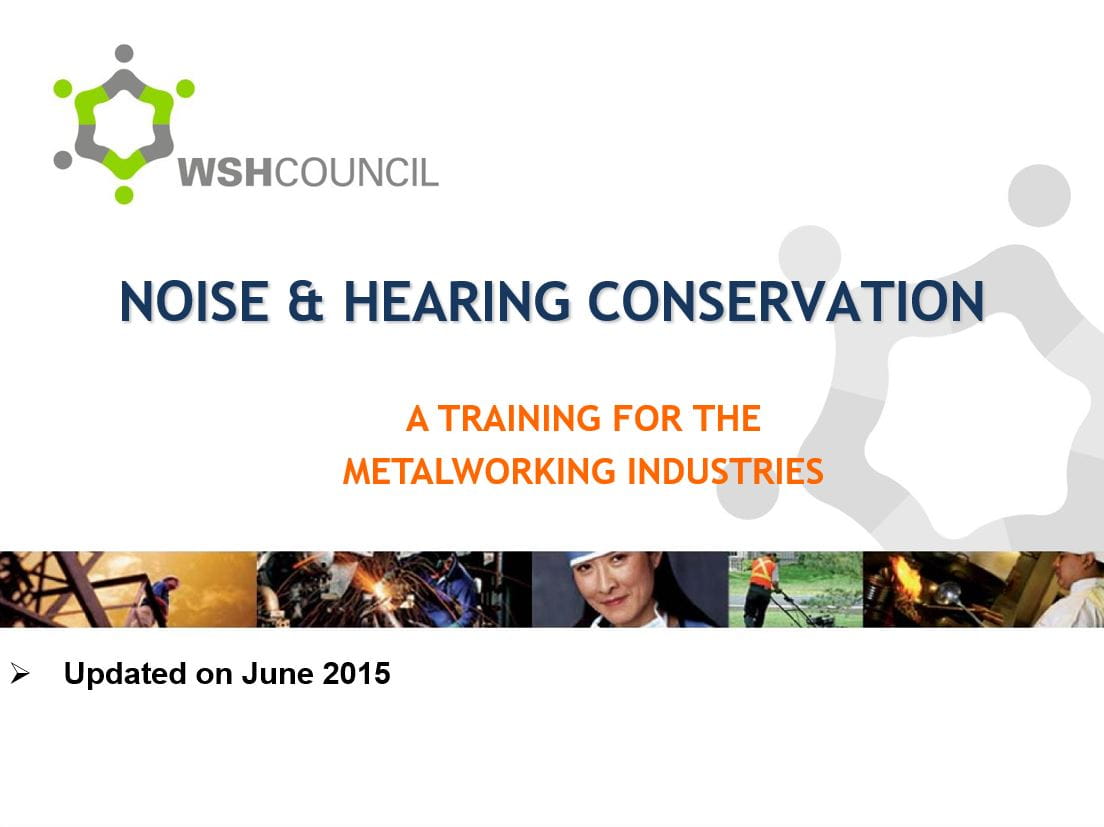 Managing Noise Hazards